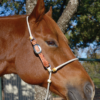 Martin Saddlery Adjustable Headsetter Tiedown: Rope (HTDRA) – Jopps Tack