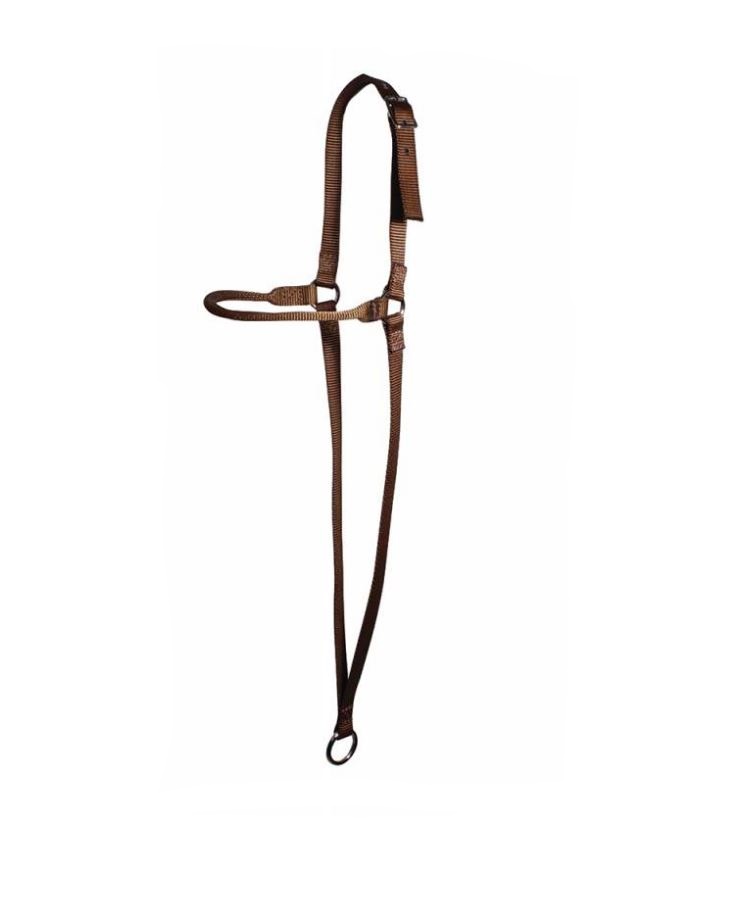 Professional’s Choice Web War Bonnet – Jopps Tack