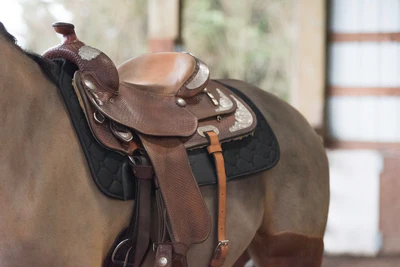 Benefab Therapeutic Western Pad – Jopps Tack