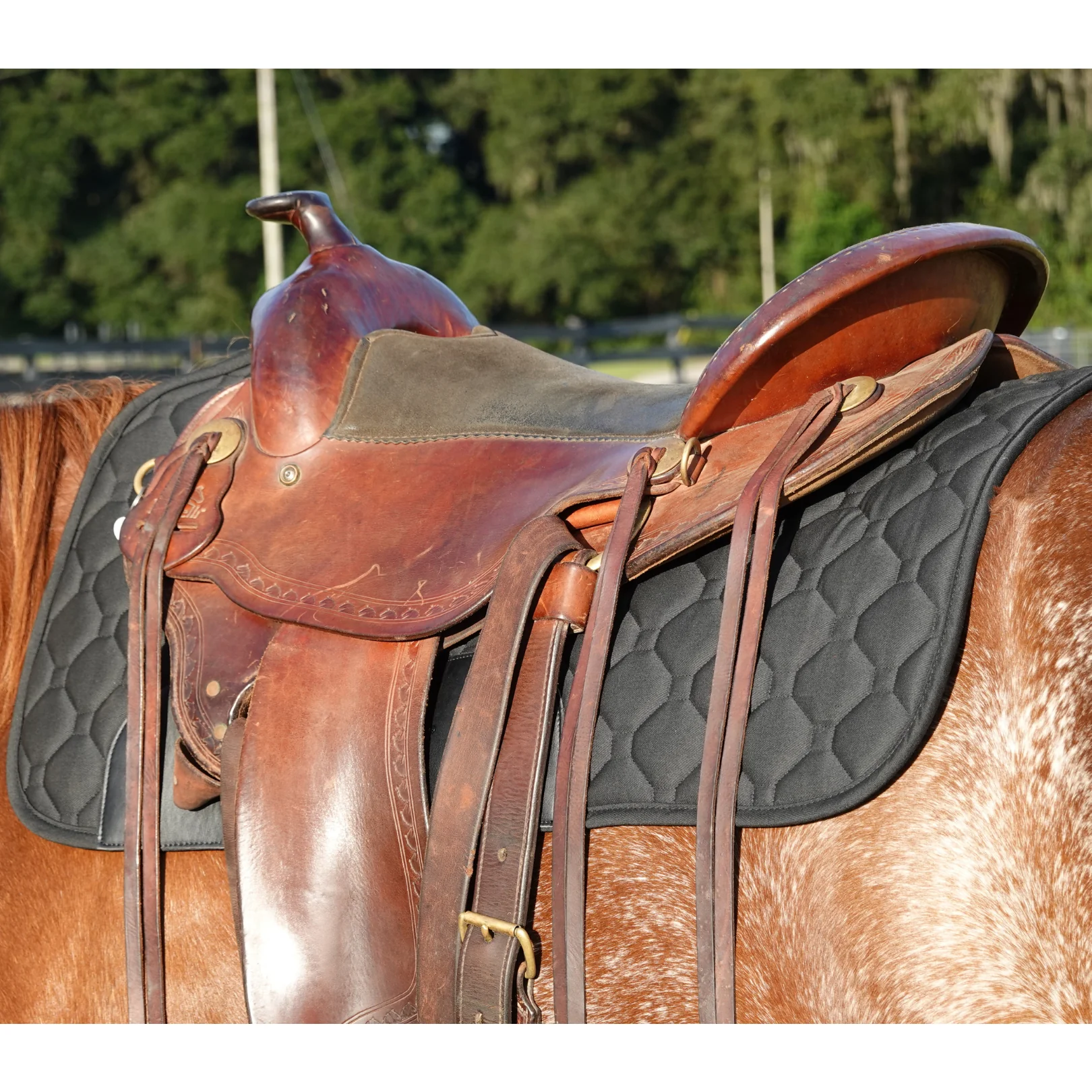 Benefab Therapeutic Western Pad – Jopps Tack