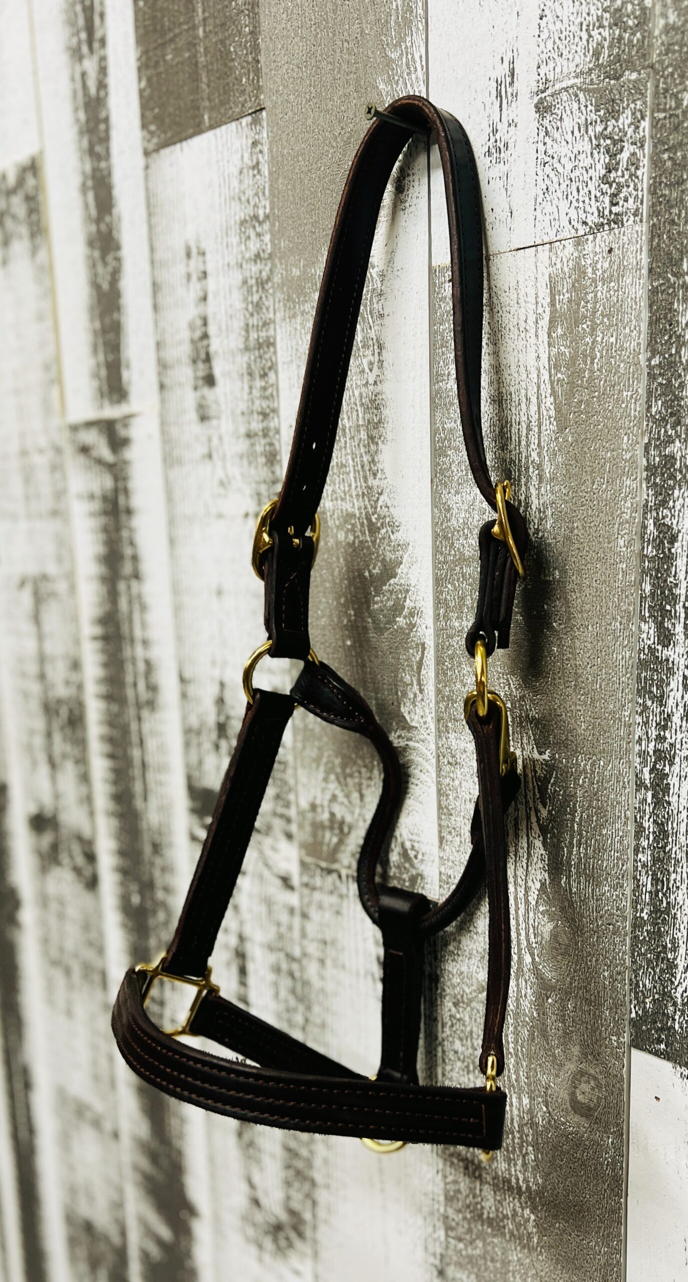 Leather Halter With Solid Brass Hardware – Jopps Tack