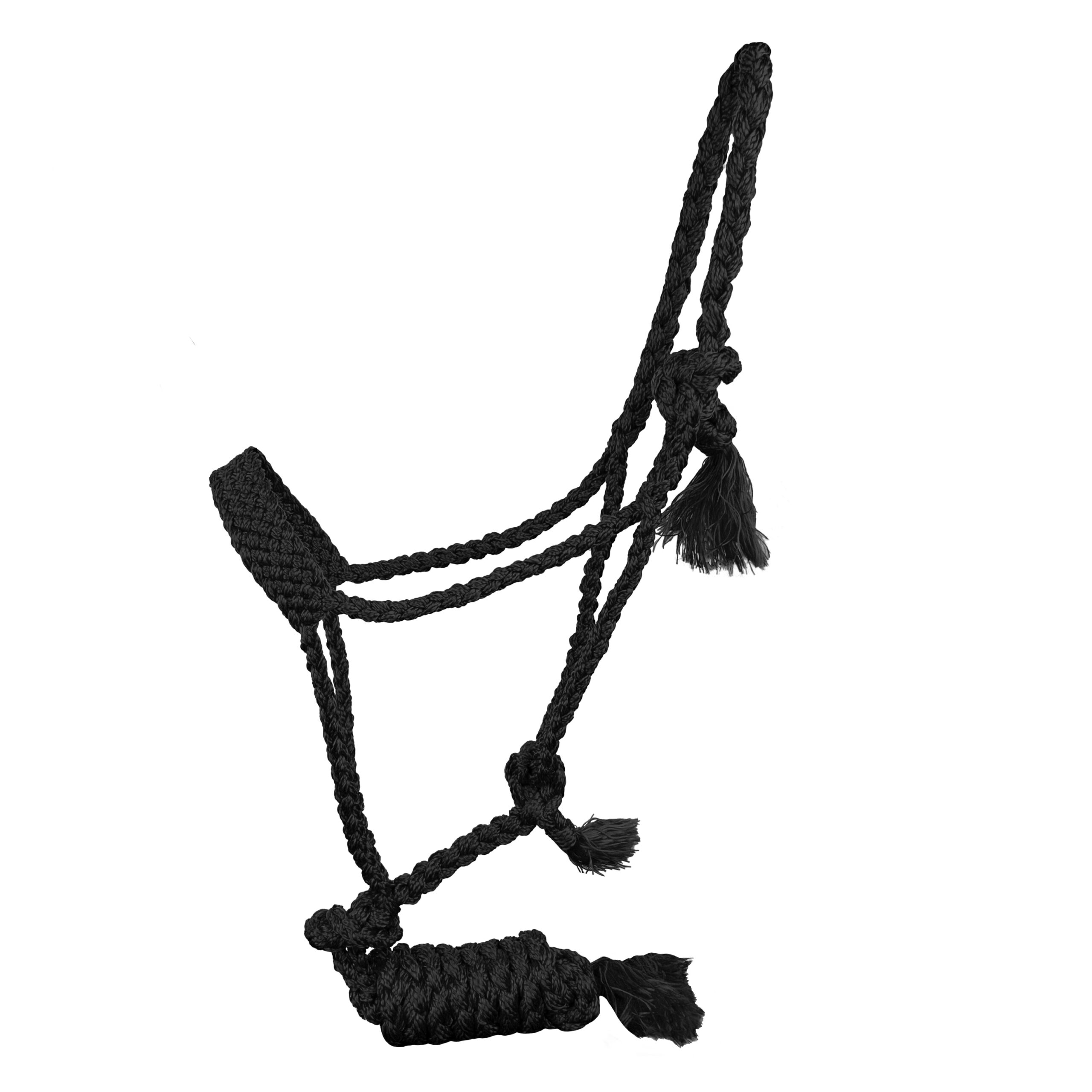 Woven Nylon Halter w/ 8ft Removable Lead – Jopps Tack