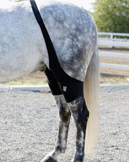 Ice Horse Stifle Wraps – Jopps Tack