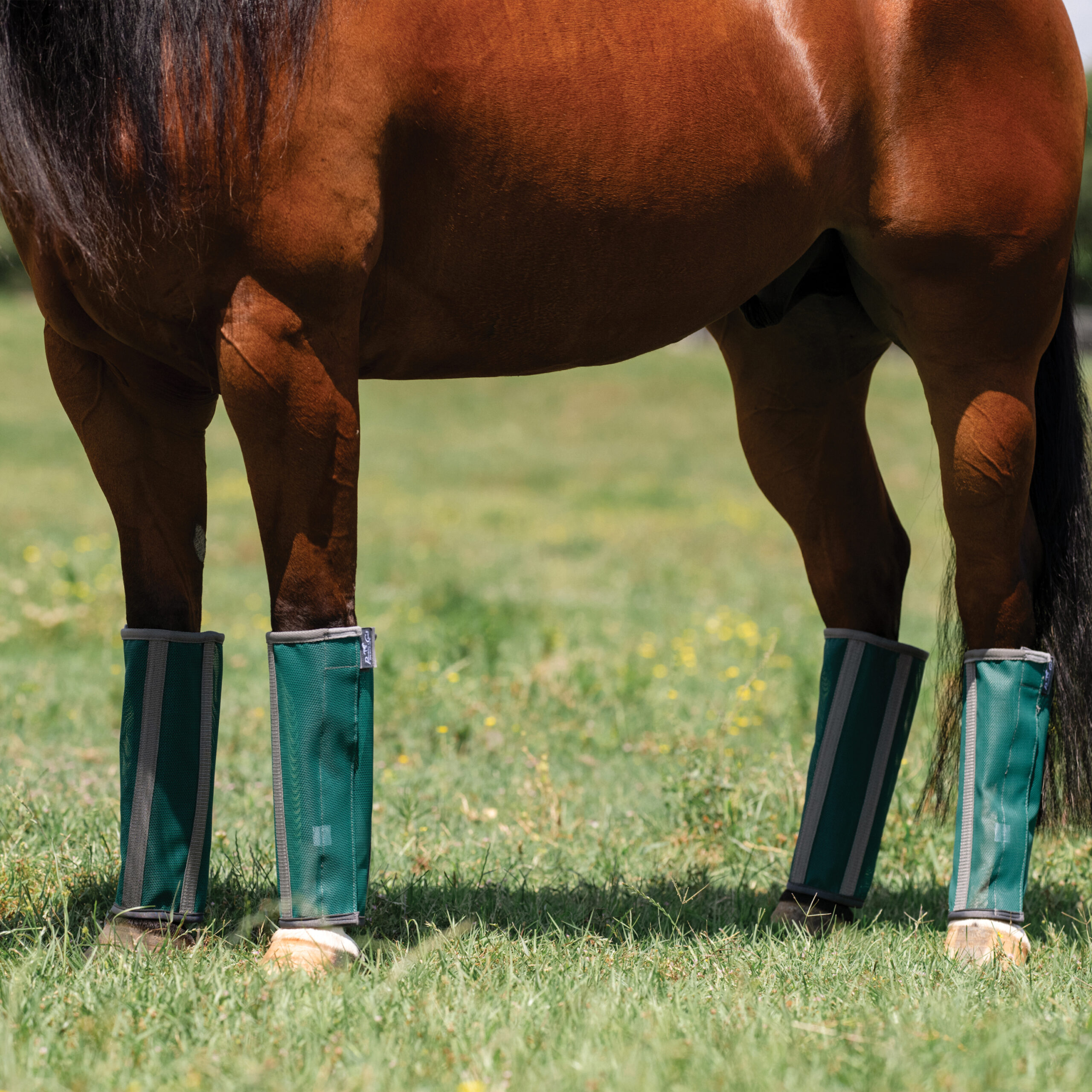 Professionals Choice Deluxe Fly Boots – Jopps Tack