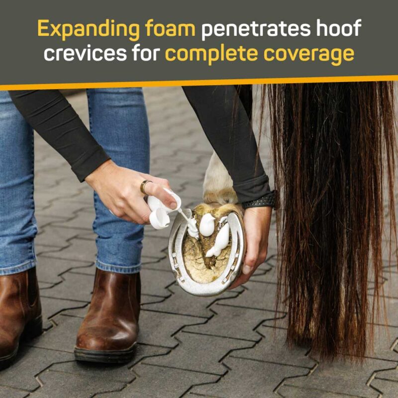 Silver Honey Rapid Hoof Care Thrush Foam for Horses – Jopps Tack